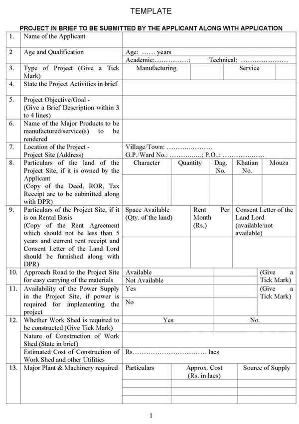 TEMPLATE (PROJECT IN BRIEF TO BE SUBMITTED BY THE APPLICANT ALONG WITH ...